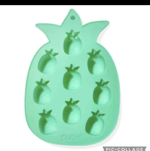 Blush | Kitchen | 2 Pineapple Ice Trays | Poshmark